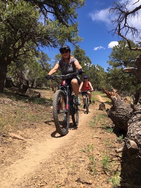 New! Bicycle Junction is now available on Amazon